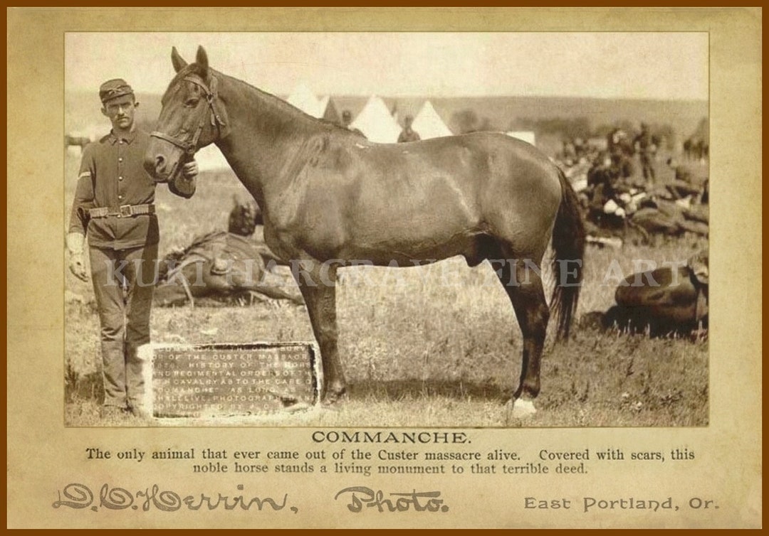 Comanche War Horse Print: Little Big Horn, Old West Decor - Etsy