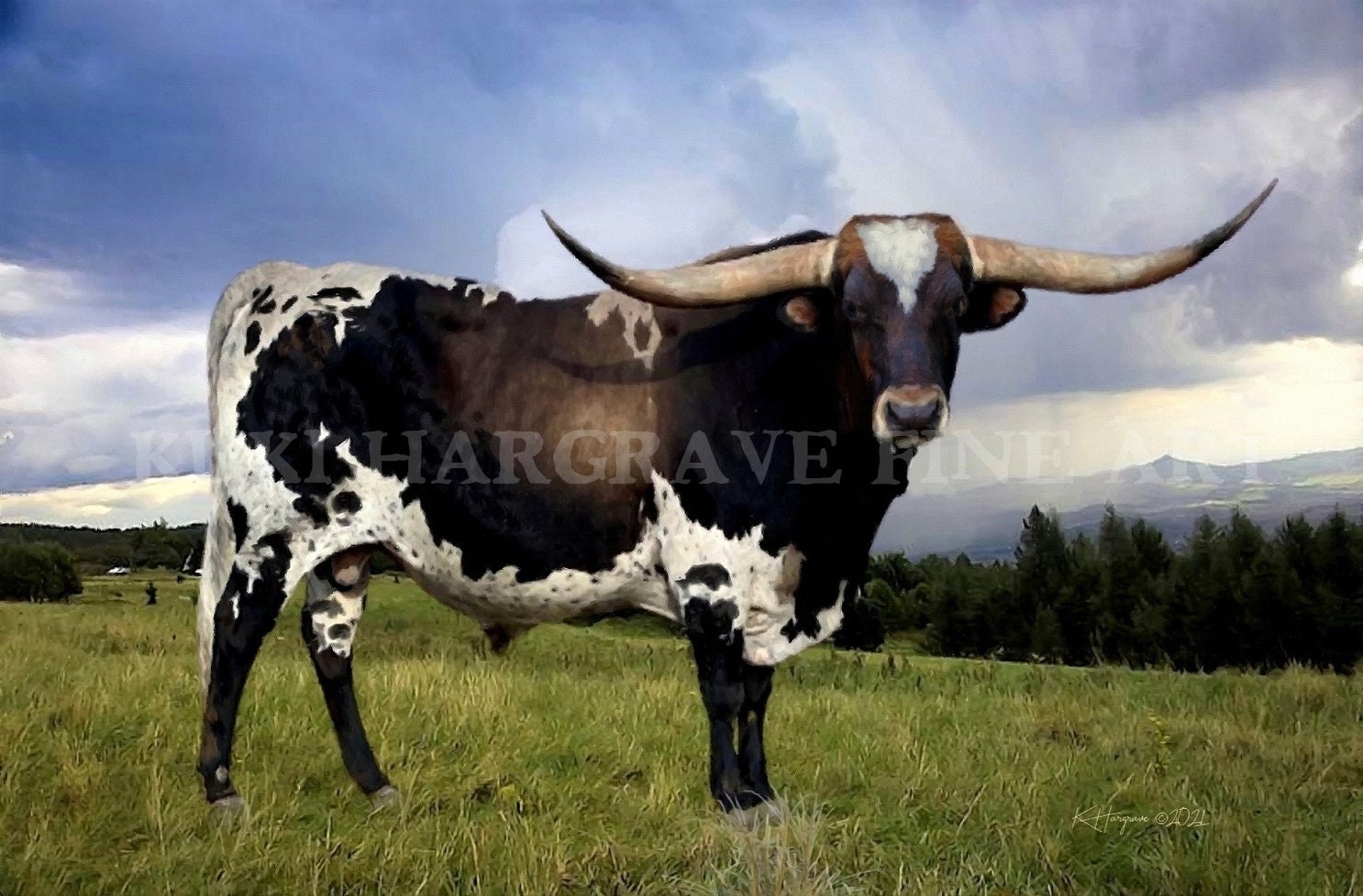 Texas Longhorn Bull Cattle Country Landscape SIGNED PRINT From - Etsy