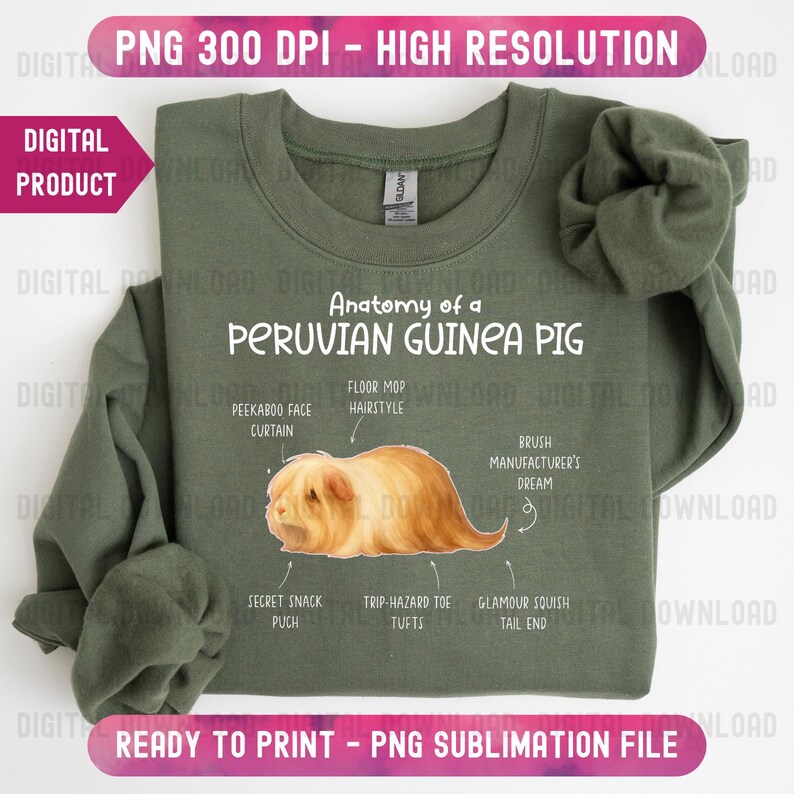 Funny Anatomy of a Peruvian Guinea Pig PNG, Cavy Sublimation Design ...