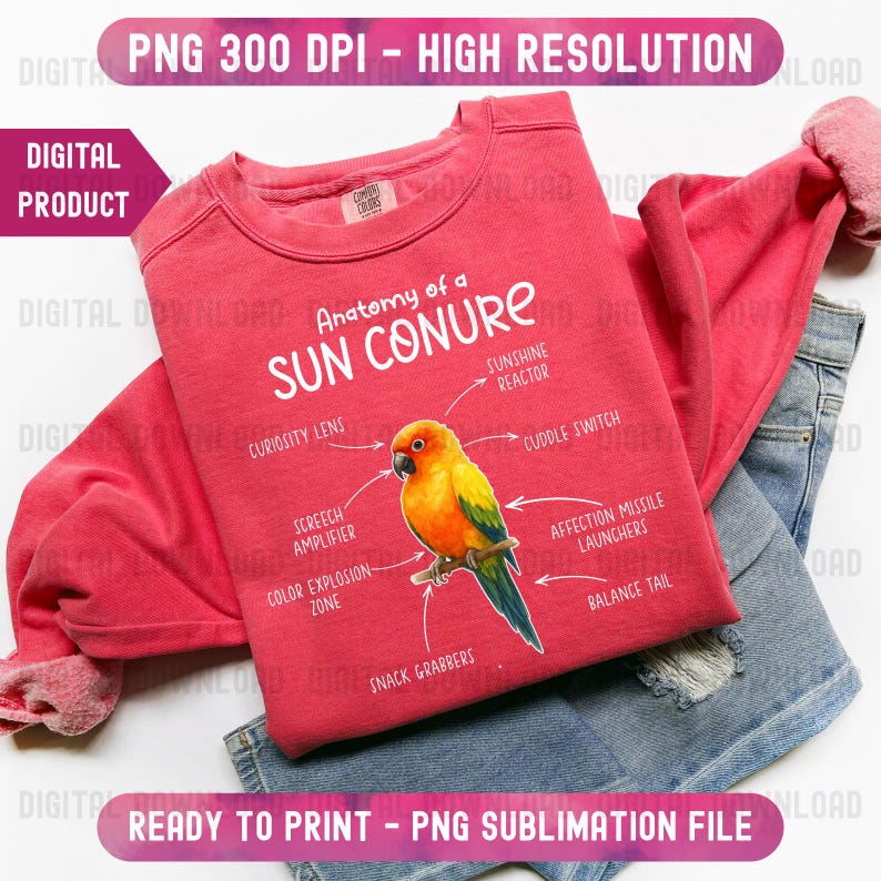 Anatomy of A Sun Conure PNG, Funny Parrot Lover Gift, Pet PNG, Bird ...