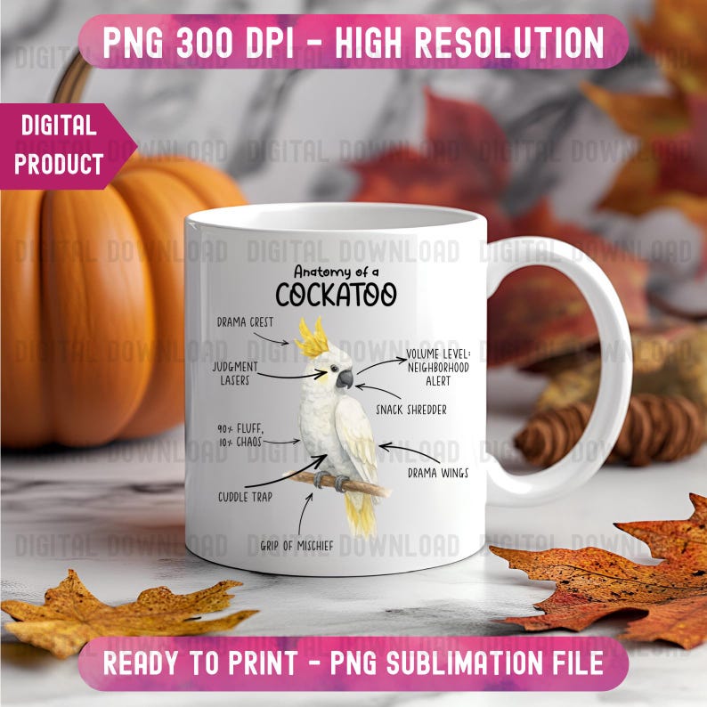 Anatomy of A Cockatoo PNG, Parrot Lover Gift, Pet Umbrella Cockatoo ...