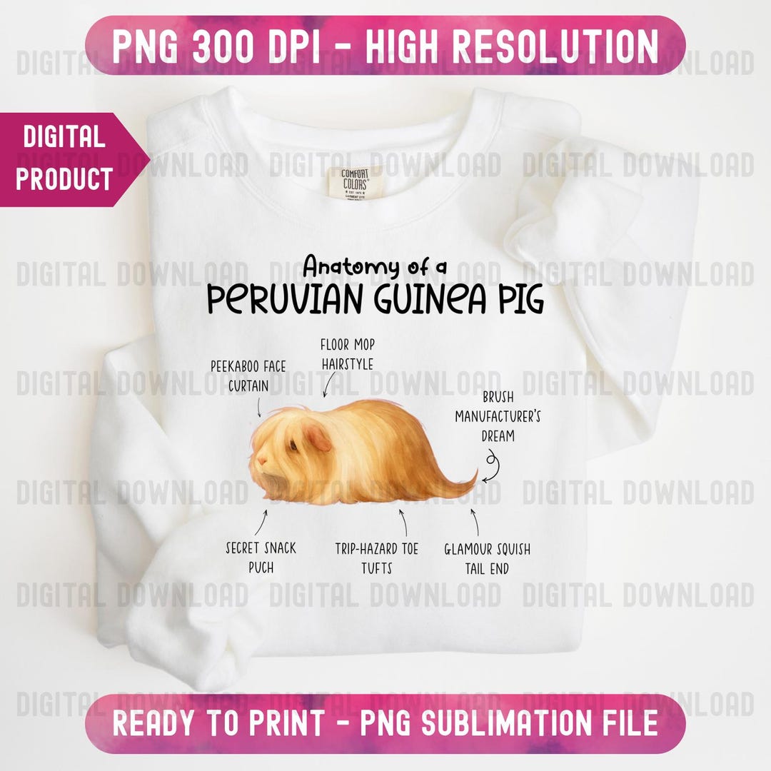 Funny Anatomy of a Peruvian Guinea Pig PNG, Cavy Sublimation Design ...