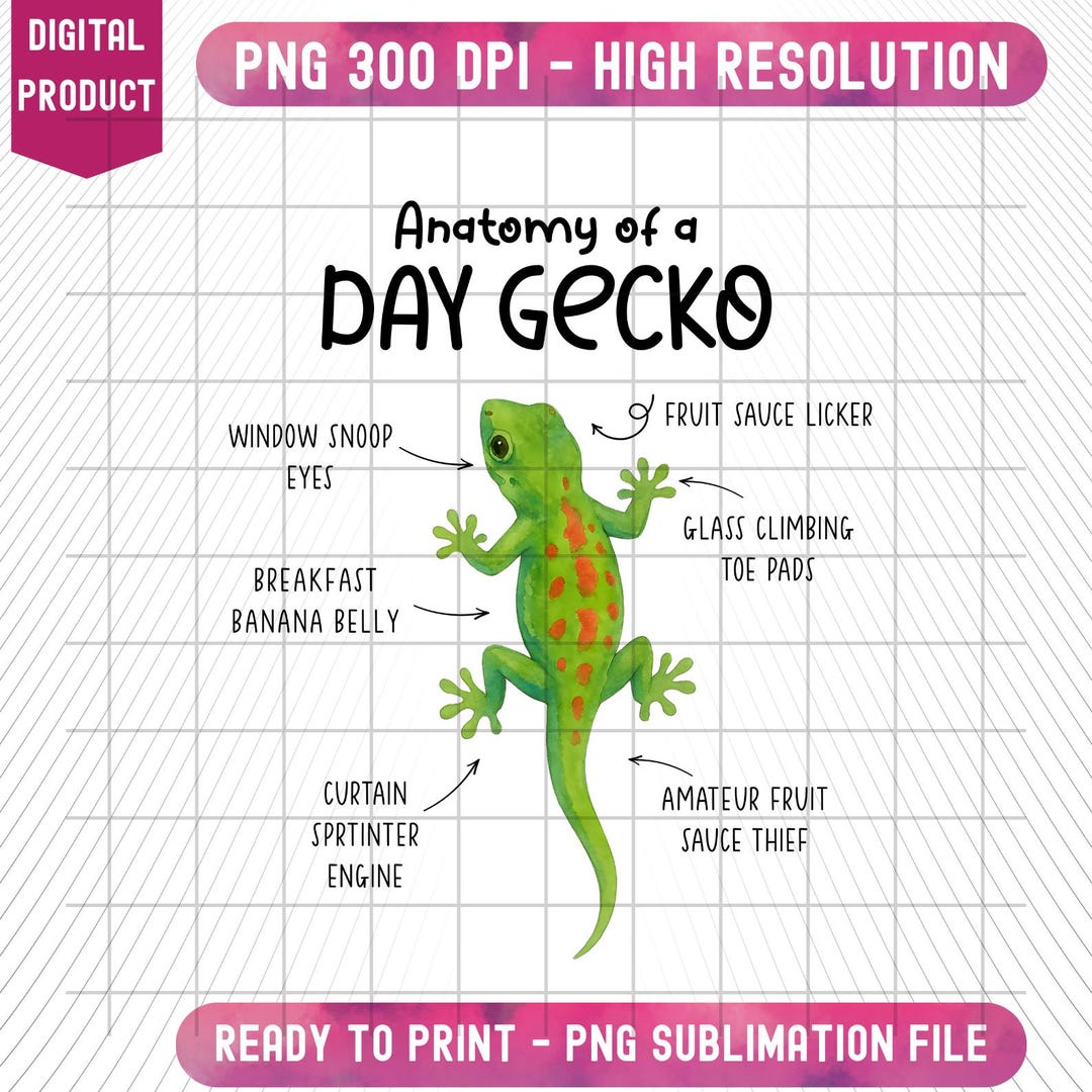 Funny Anatomy of Day Gecko PNG Clipart, Reptile Digital Download ...