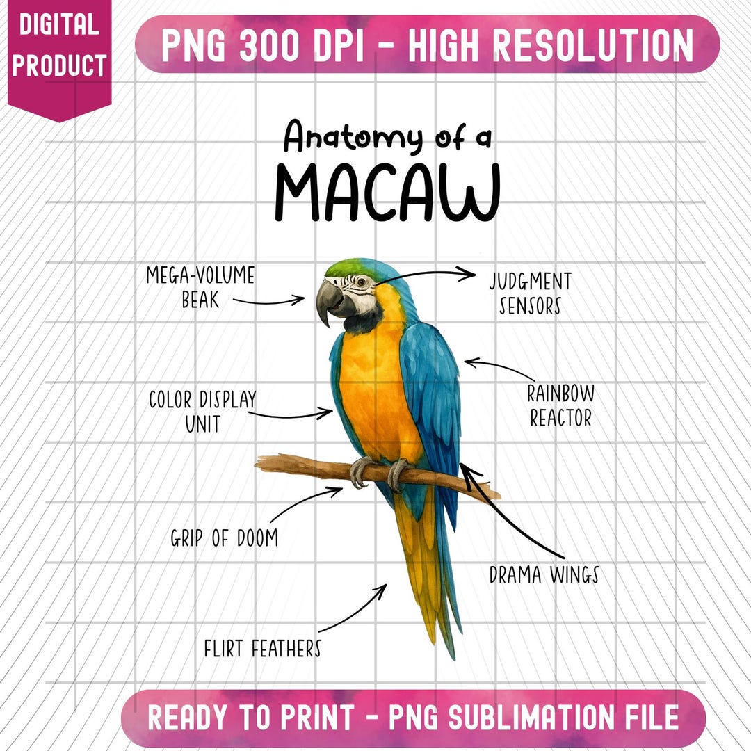 Anatomy of A Macaw PNG, Blue and Gold Macaw PNG, Parrot Lover Gift, Pet ...