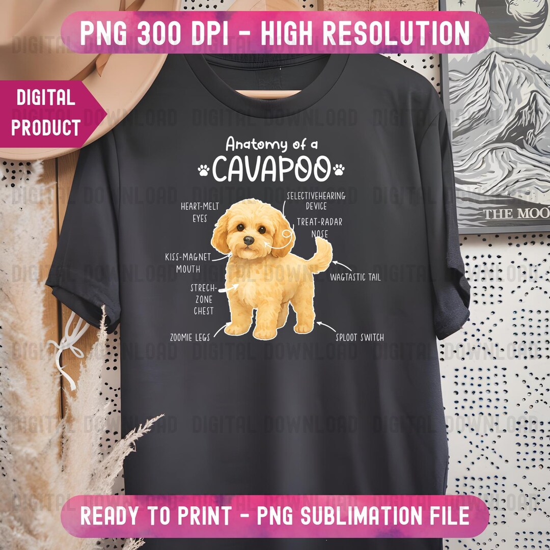 Anatomy of a Cavapoo PNG, Cavapoo Dog Png, Cavapoo Dog PNG, Cavapoo ...
