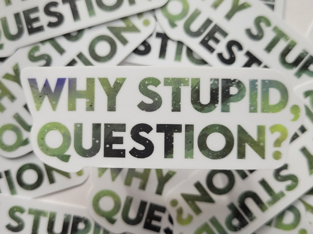 Why Stupid, Question? - Project Hail Mail Mary Inspired Sticker - Etsy