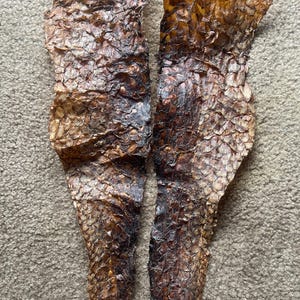 Tanned Carp Fish Leather - Etsy