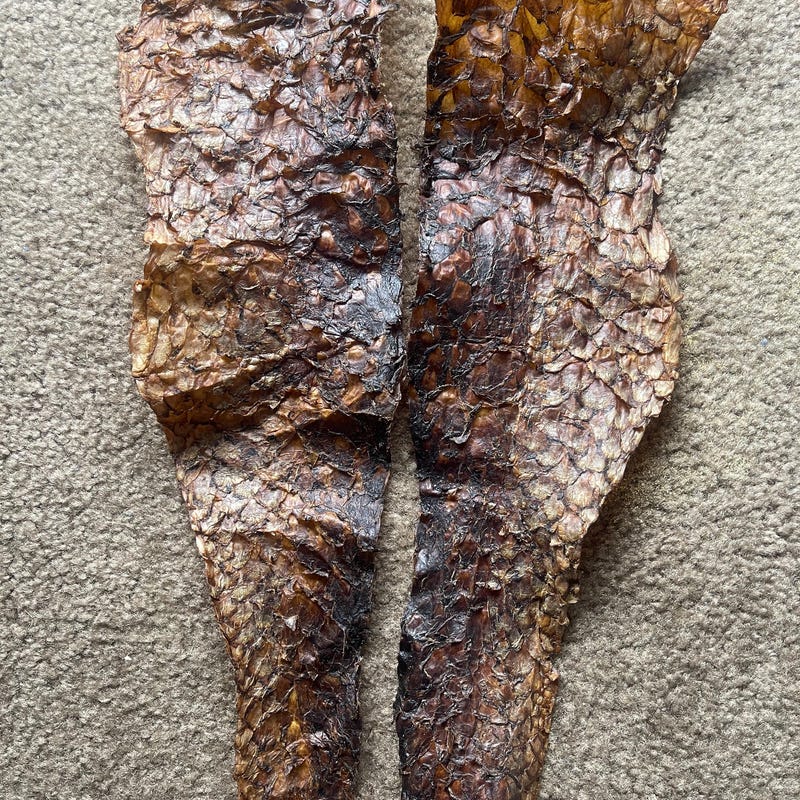 Fish Skin Leather - Etsy
