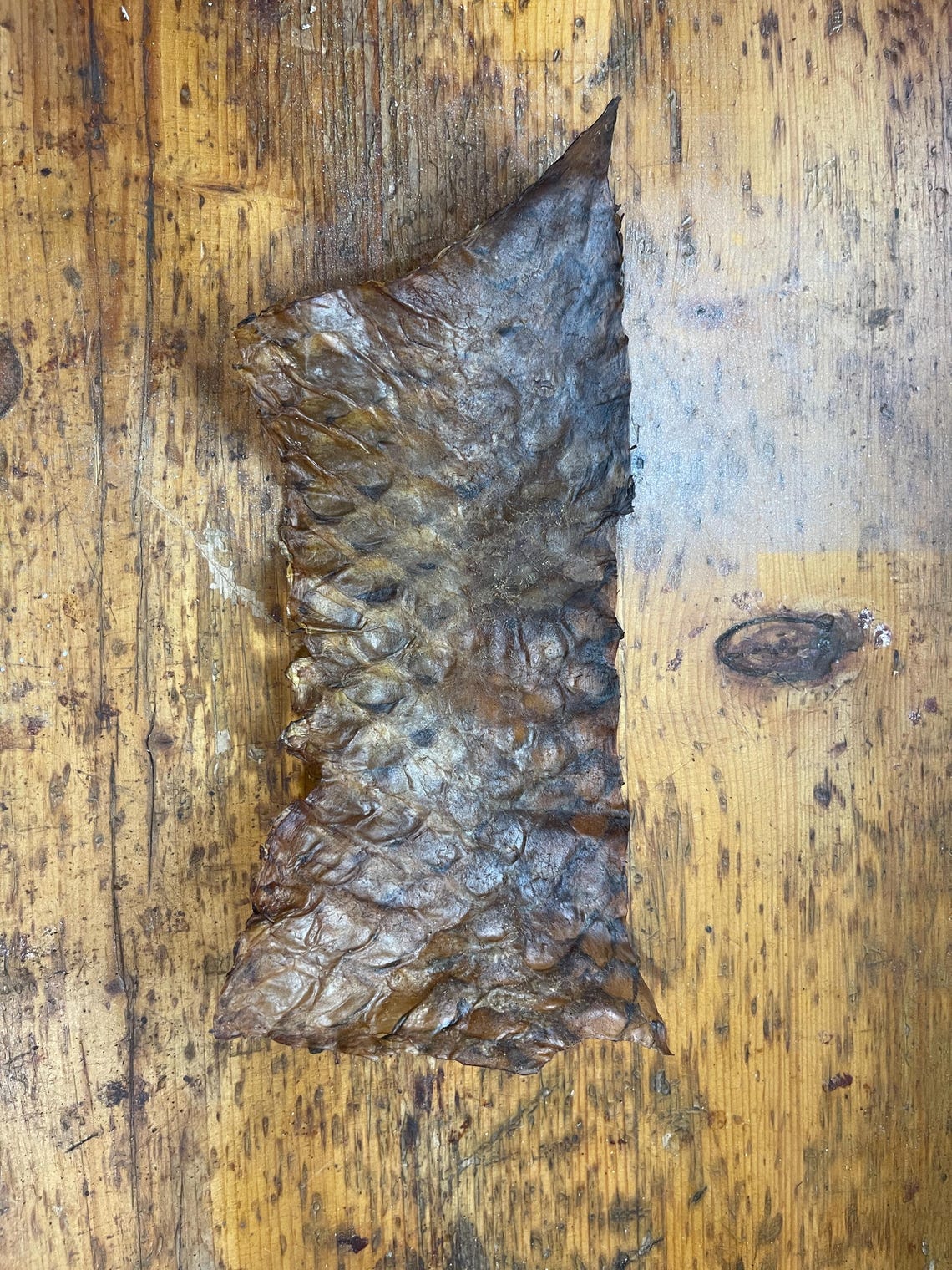 Tanned Carp Fish Leather - Etsy