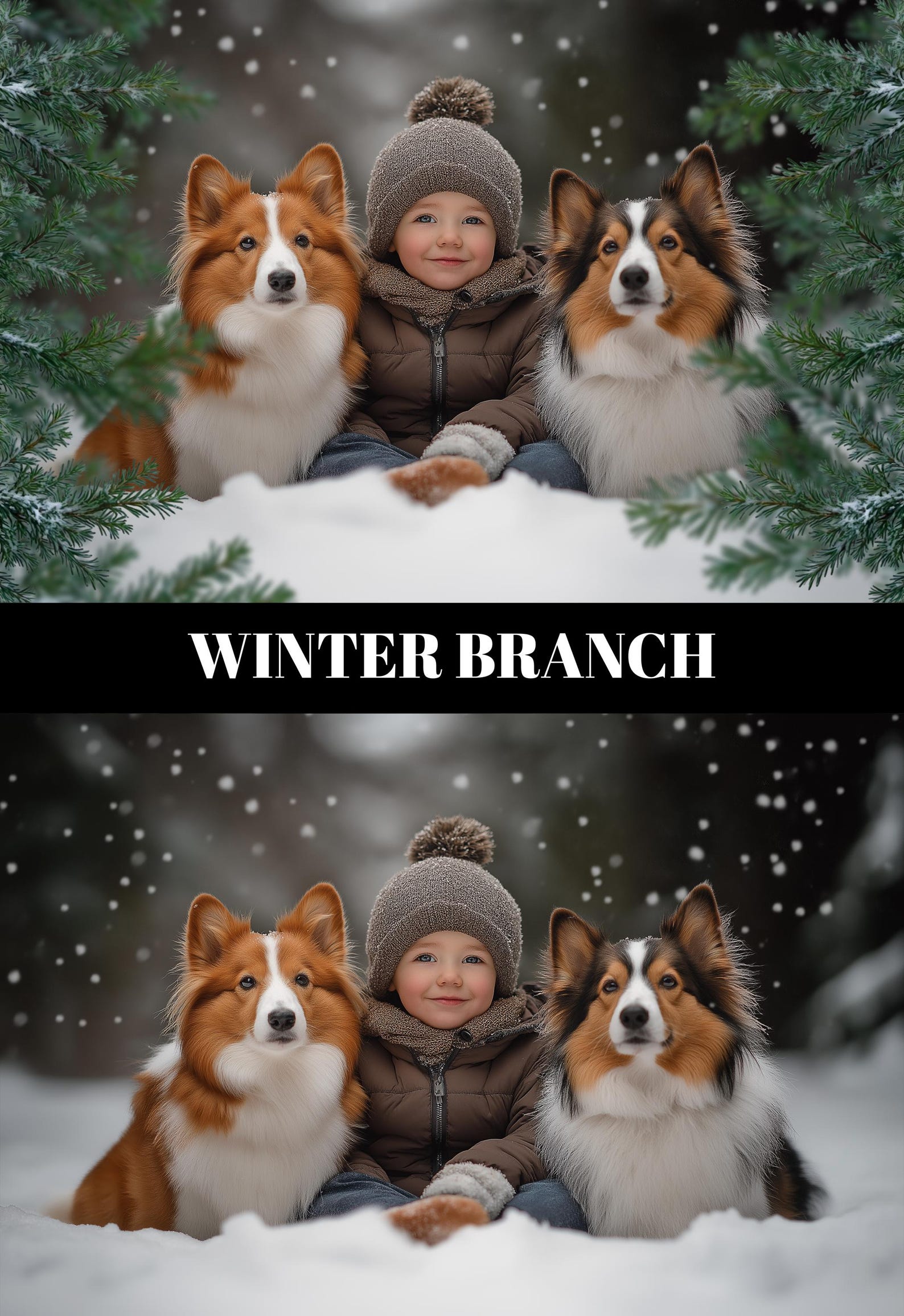 60 CHRISTMAS TREE Overlays Pine Branch Overlay Winter Branch Photoshop ...