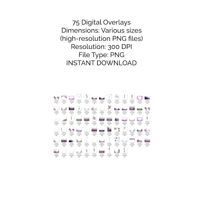 75 French Lavender Digital Overlays Lavender Effect Purple Photo ...