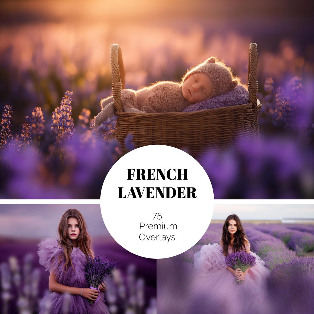 75 French Lavender Digital Overlays Lavender Effect Purple Photo ...