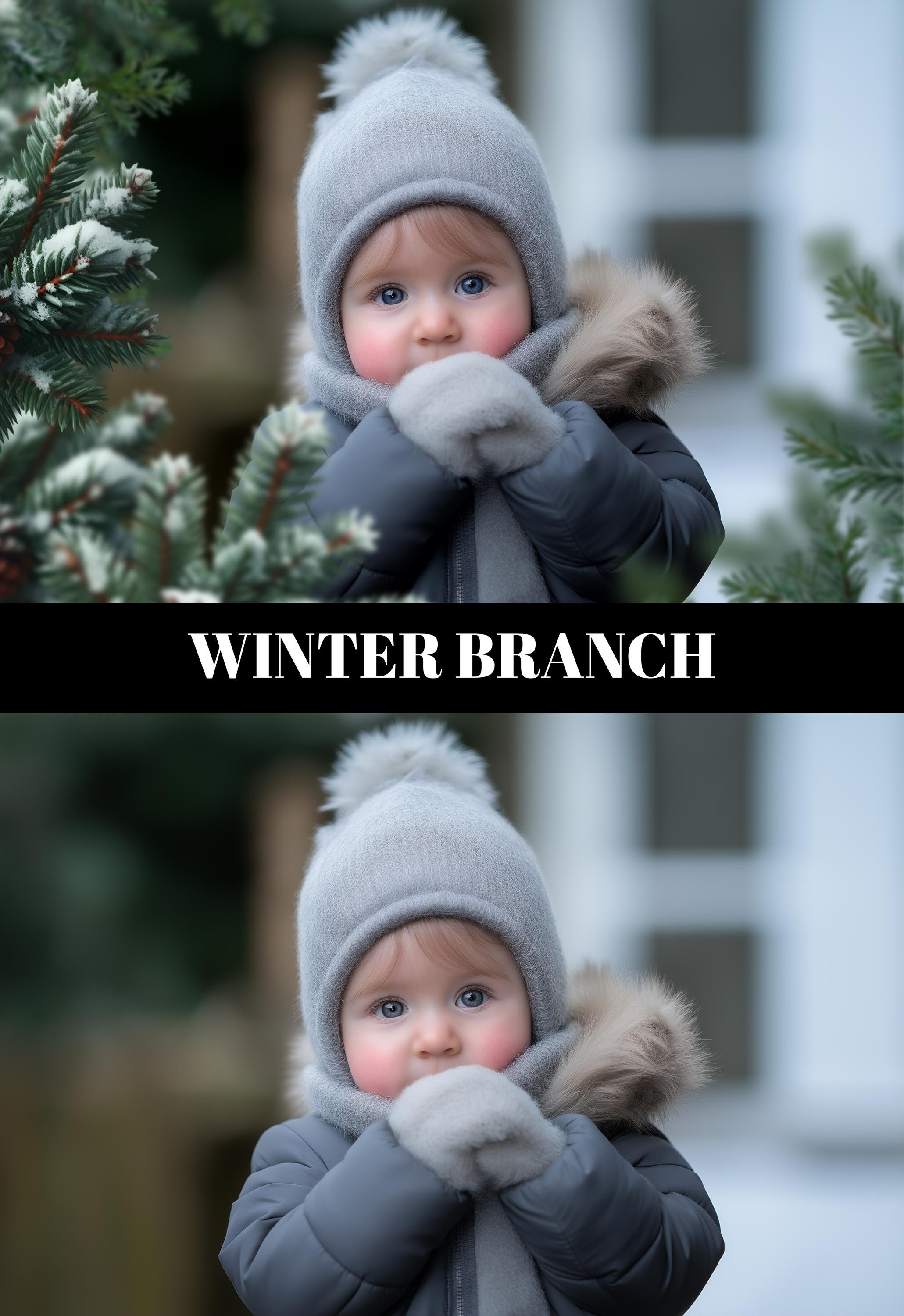 60 CHRISTMAS TREE Overlays Pine Branch Overlay Winter Branch Photoshop ...