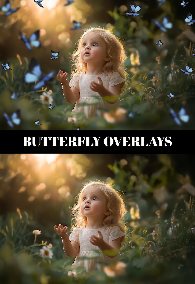 60 BUTTERFLY OVERLAYS Flying Butterflies Transparent Files Realistic ...