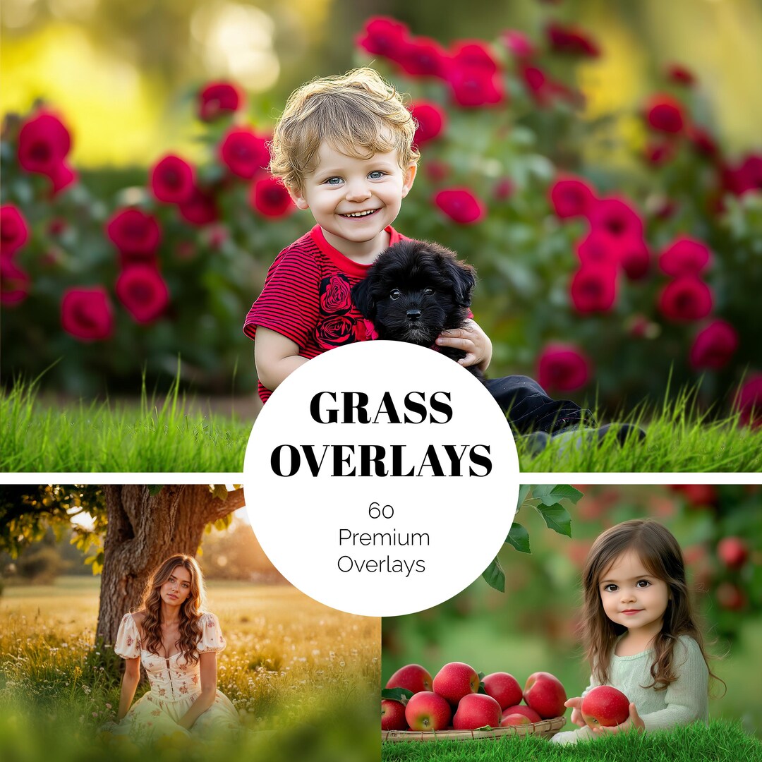 60 GRASS OVERLAYS Green Dry Grass Clipart Collection Grass Transparent ...