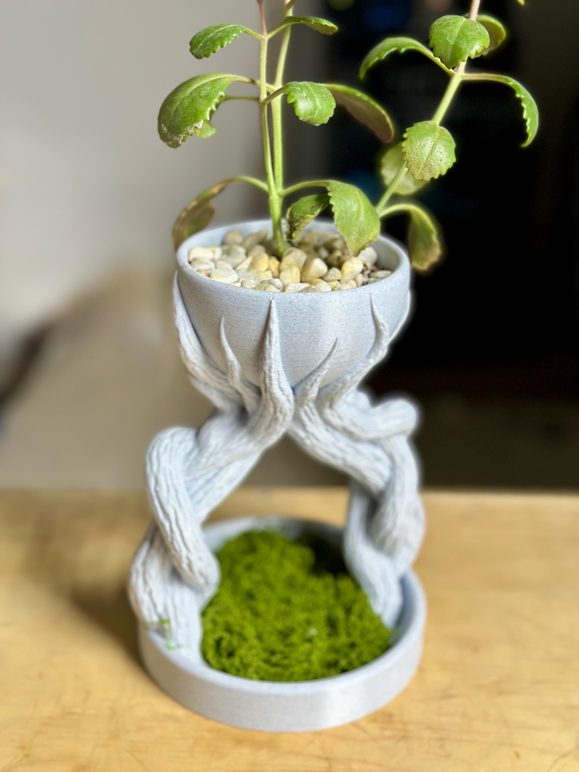 Twist Root Planter - Luxury 3D Printed Decor, Eco PLA, Unbreakable W ...