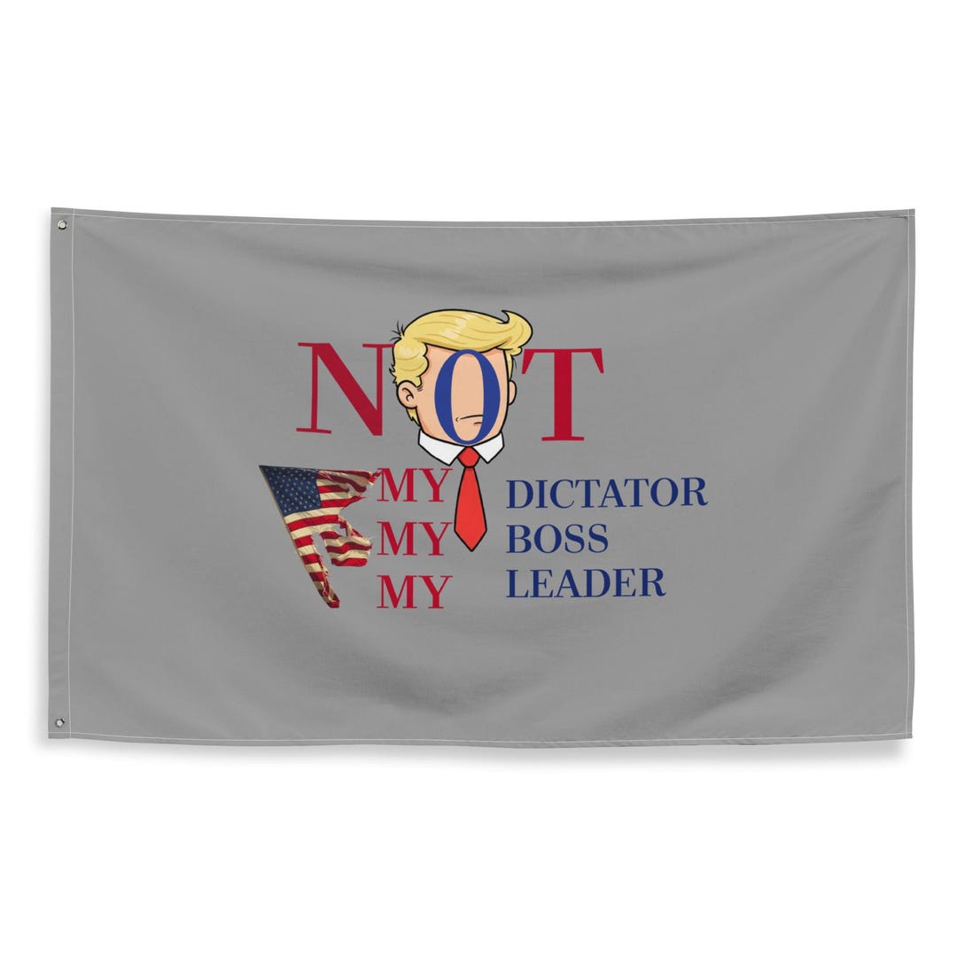 Not My Dictator Flag – Stand Your Ground - Etsy