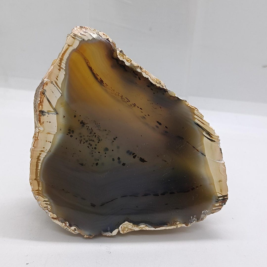 Natural Dendritic Agate Slice Scenic Landscape Stone Polished Freeform ...