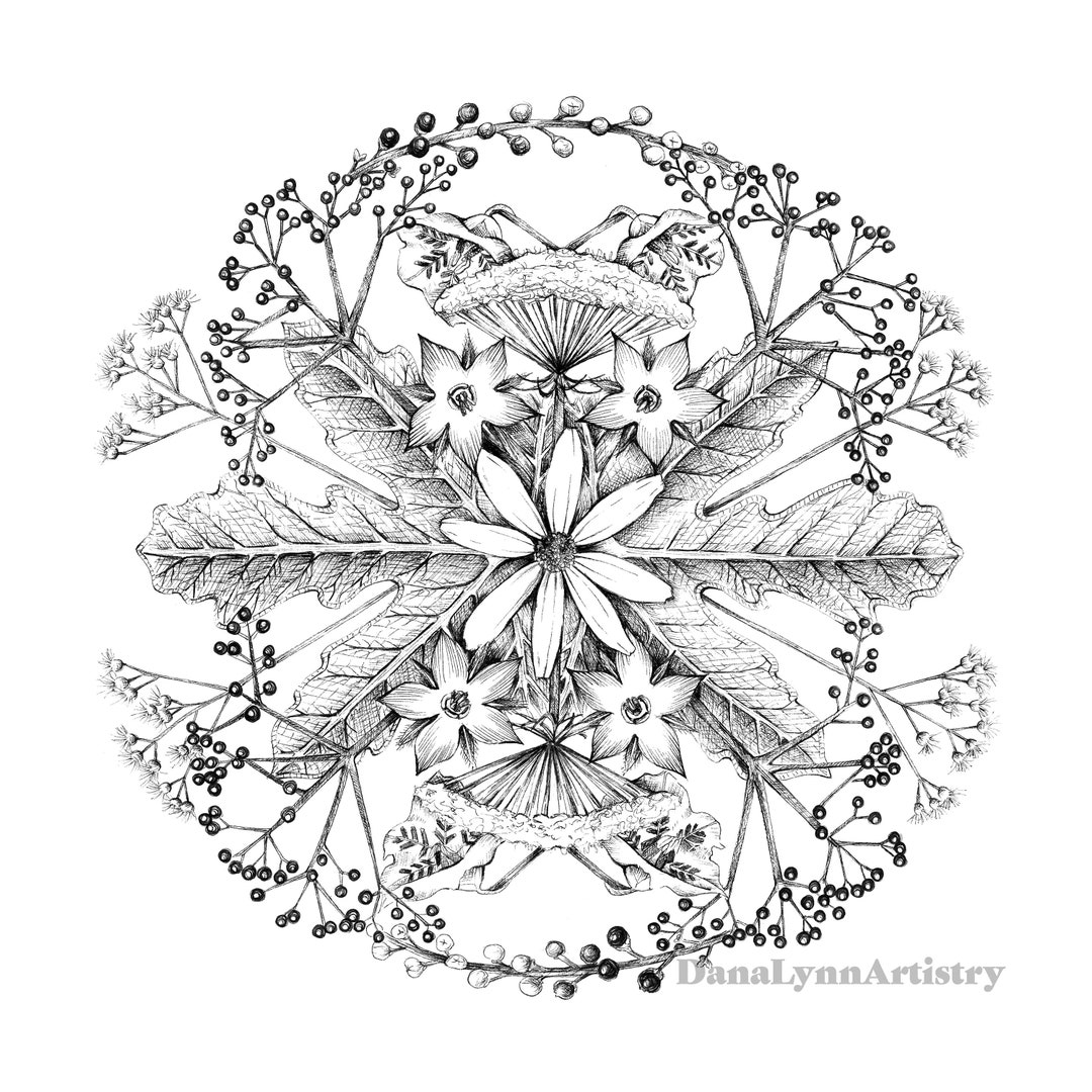 Nature Mandala; August Collection Archival Quality Print 12"x12" - Etsy