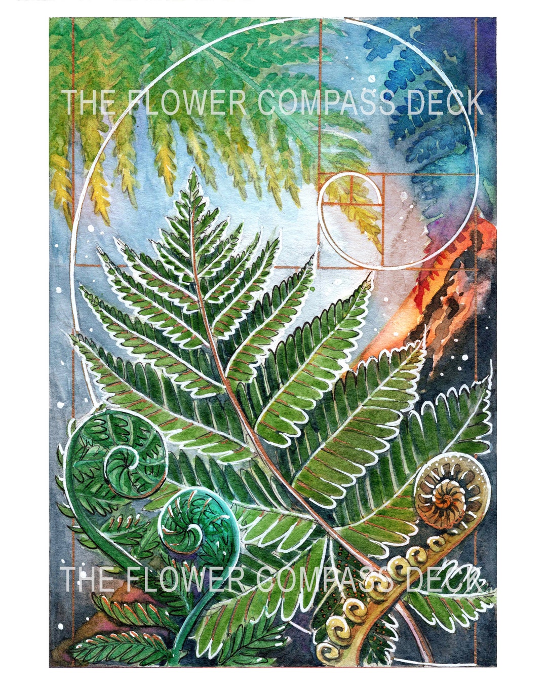 Fern Art Print for the Flower Compass Deck - Etsy