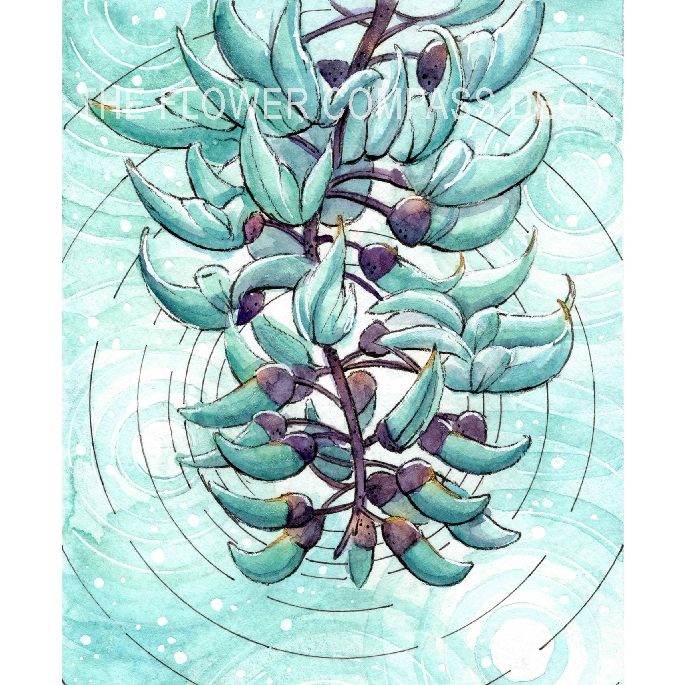 Jade Vine Art Print for the Flower Compass Deck - Etsy