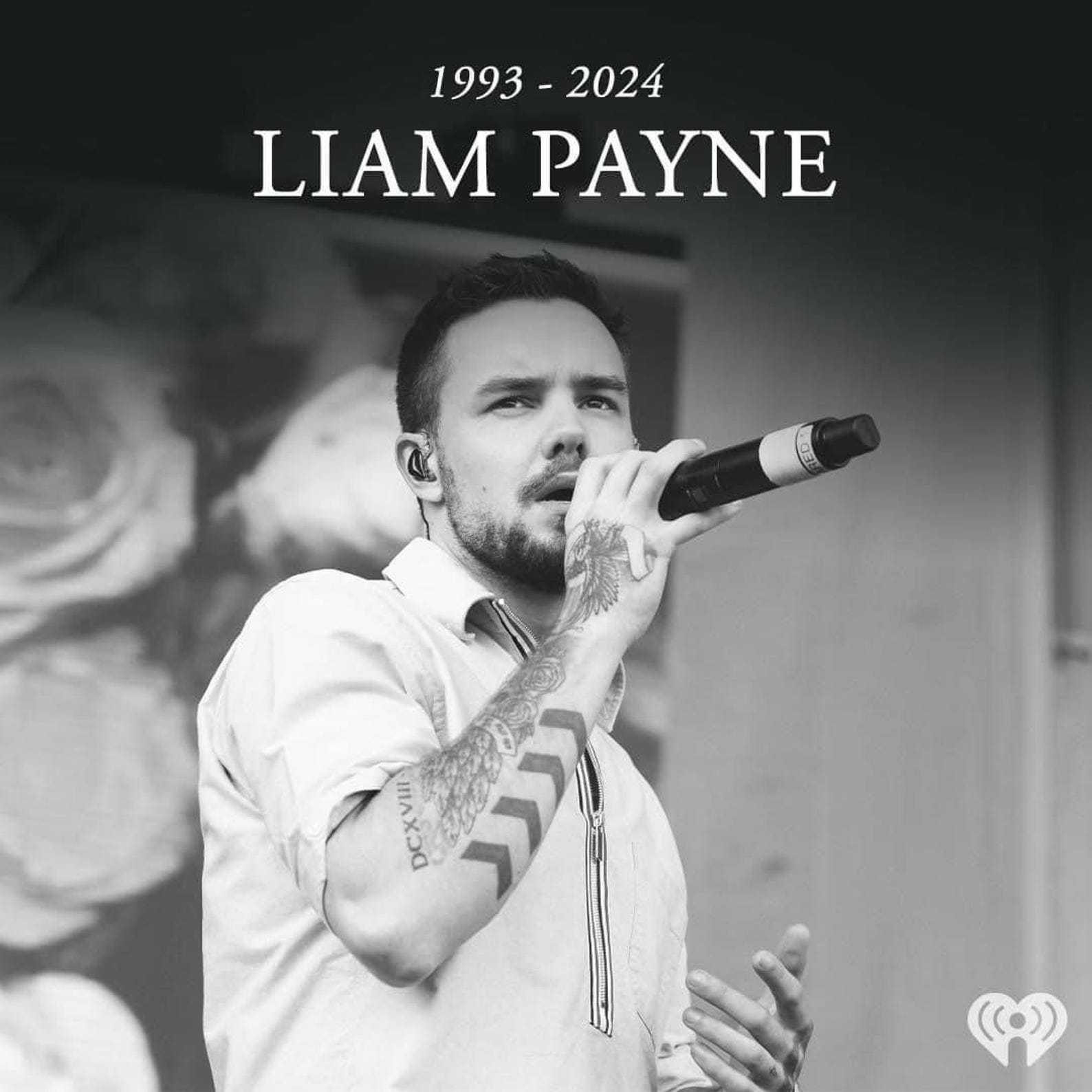 Liam RIP. Mini Liam Red Microphone Earrings FREE Memorial Button ...