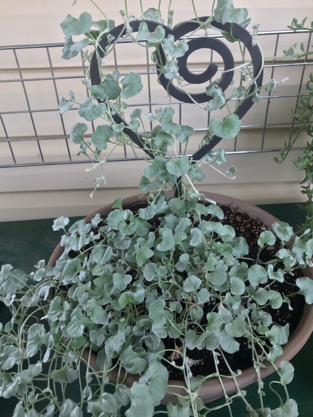 Swirl Heart Rustic Garden Stake Custom Rusty Yard Art Metal Heart Plant ...