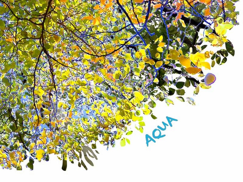 Sh'ma / Listen - Etsy