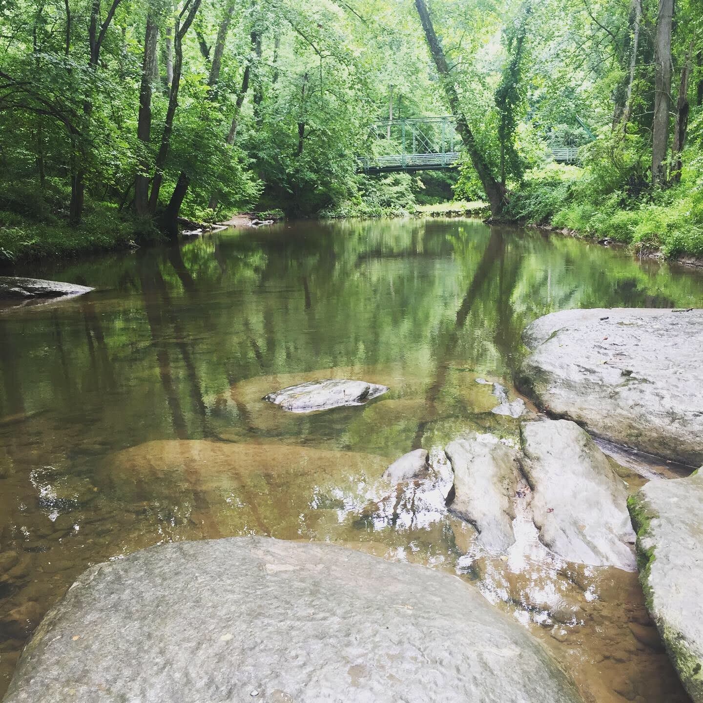 Summer Solstice Unit Study Curriculum Bundle Summer Nature - Etsy