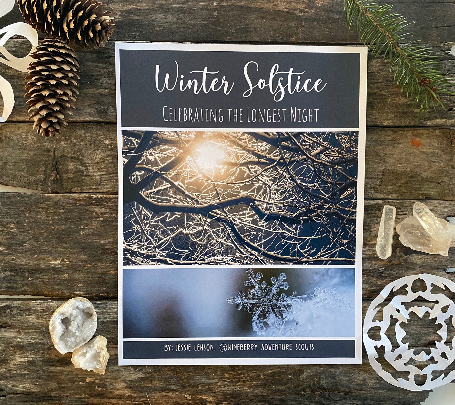 Winter Solstice Unit Study Curriculum Bundle | Winter | Nature ...
