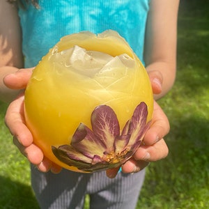 Summer Solstice Unit Study | Curriculum Bundle | Summer Nature Crafts ...