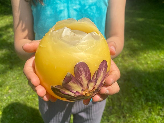 Summer Solstice Unit Study | Curriculum Bundle | Summer Nature Crafts ...