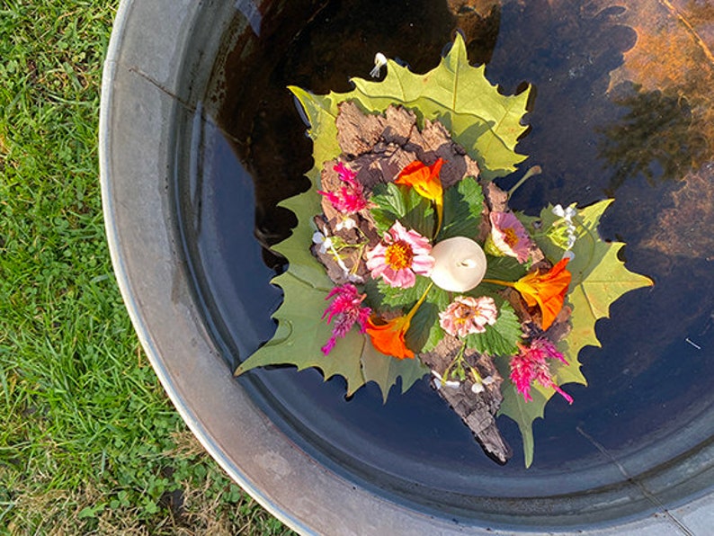 Summer Solstice Unit Study | Curriculum Bundle | Summer Nature Crafts ...