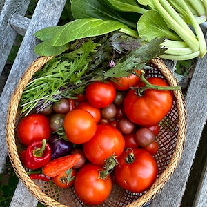 Summer Solstice Unit Study | Curriculum Bundle | Summer Nature Crafts ...