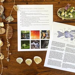 Summer Solstice Unit Study | Curriculum Bundle | Summer Nature Crafts ...