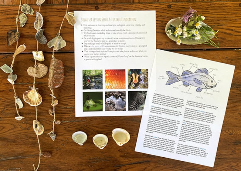 Summer Solstice Unit Study Curriculum Bundle Summer Nature Crafts ...