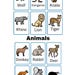 THE BIG 1600+ Pecs Communication Cards Collection: Autism Visual Aid ...