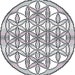 Gold + Silver Flower of Life Cross Stitch Pattern - Etsy