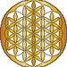 Gold + Silver Flower of Life Cross Stitch Pattern - Etsy