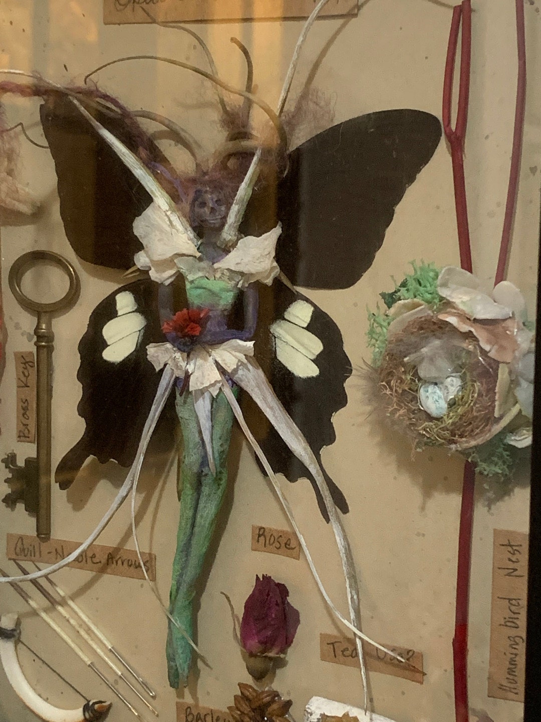 Cryptid Fairy Nest Pinned Specimen Art Piece One of a Kind Hand ...