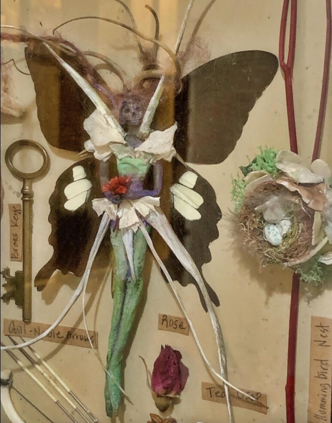 Hand-sculpted Dead Fairy Shadow Box • Fairy Specimen Display - Etsy