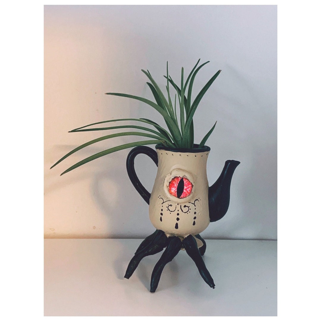 Teacup Spider Air Plant Holder Up-cycled Hand Made - Etsy