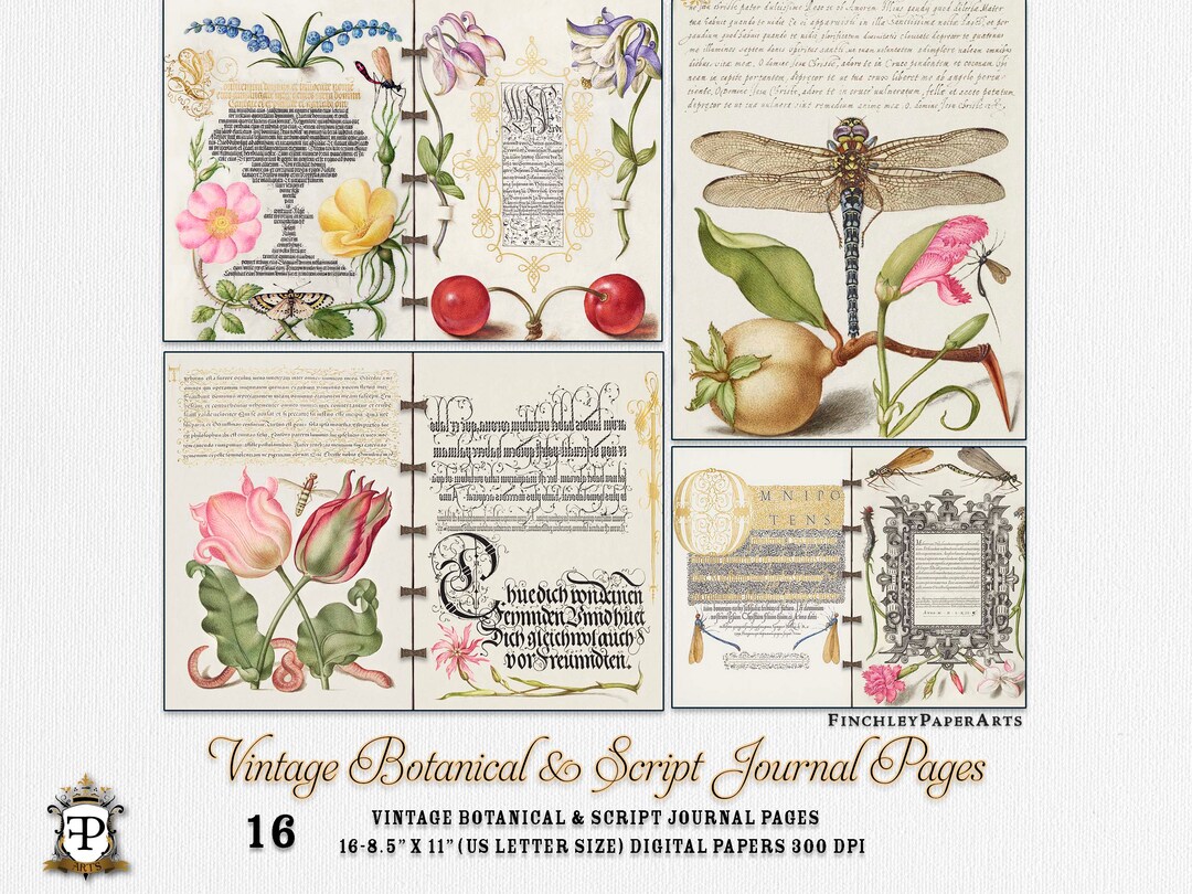 Vintage Botanical & Script Journal Pages, 11'x8.5" US Letter Size ...