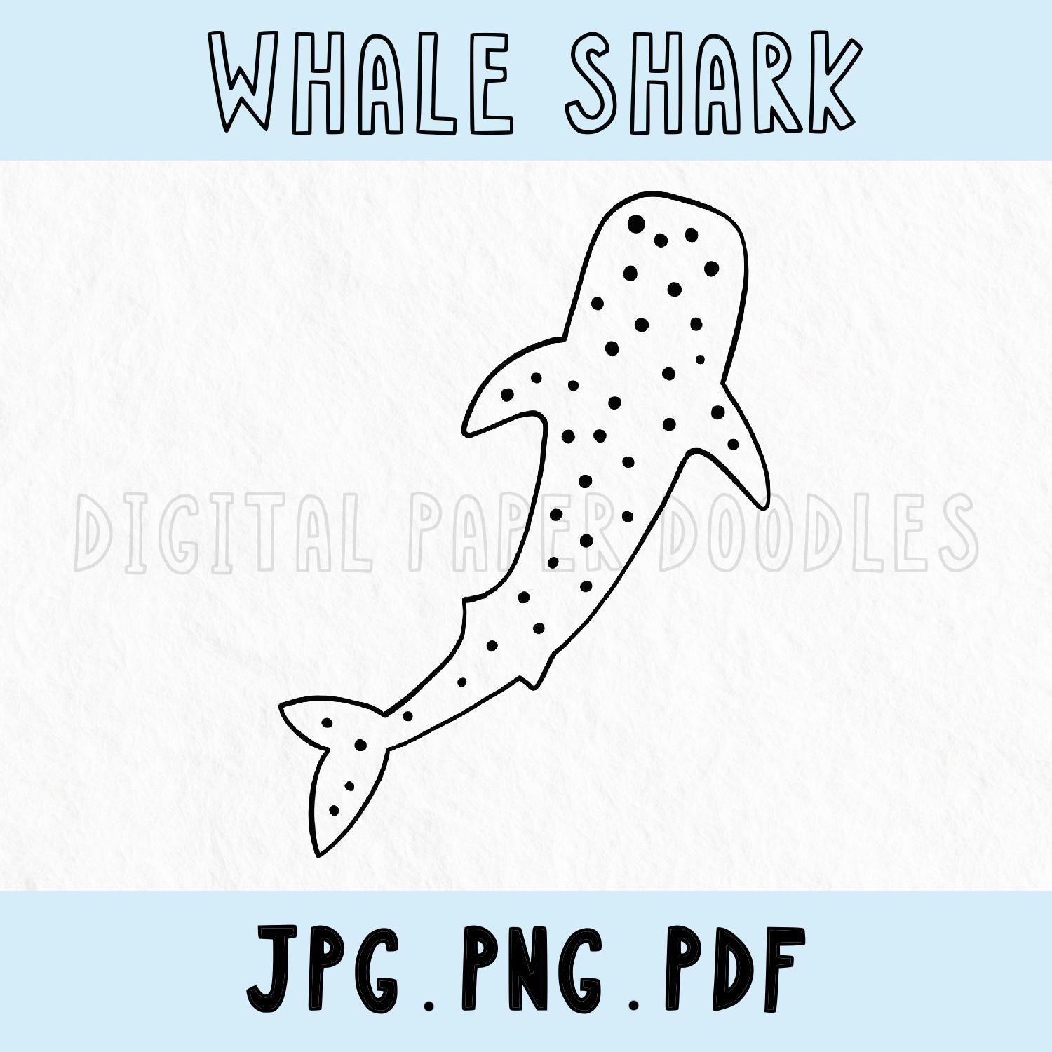 Whale Shark Line Art | Hand-drawn Ocean Animal Clipart (PNG, PDF, JPG ...