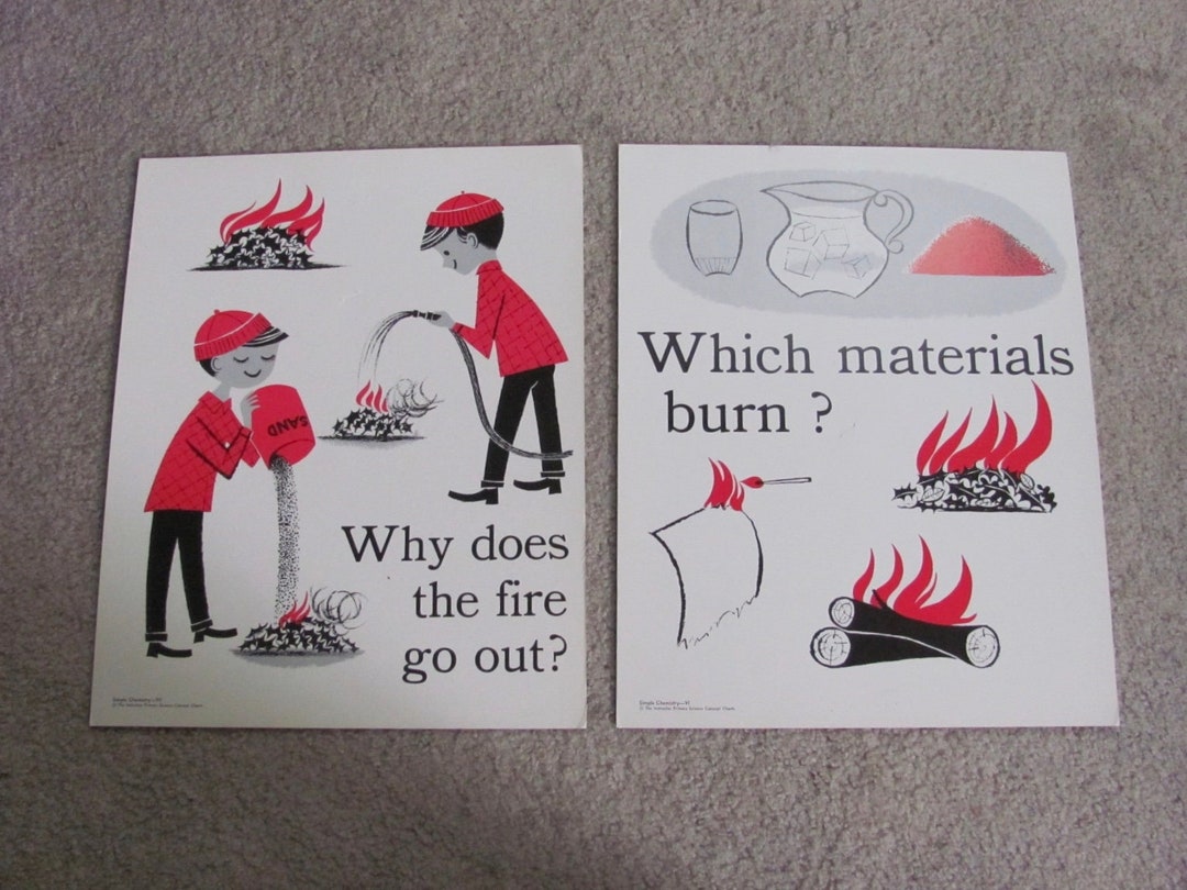 Vintage Illustrated Large Flash Card Science School Classroom Poster ...