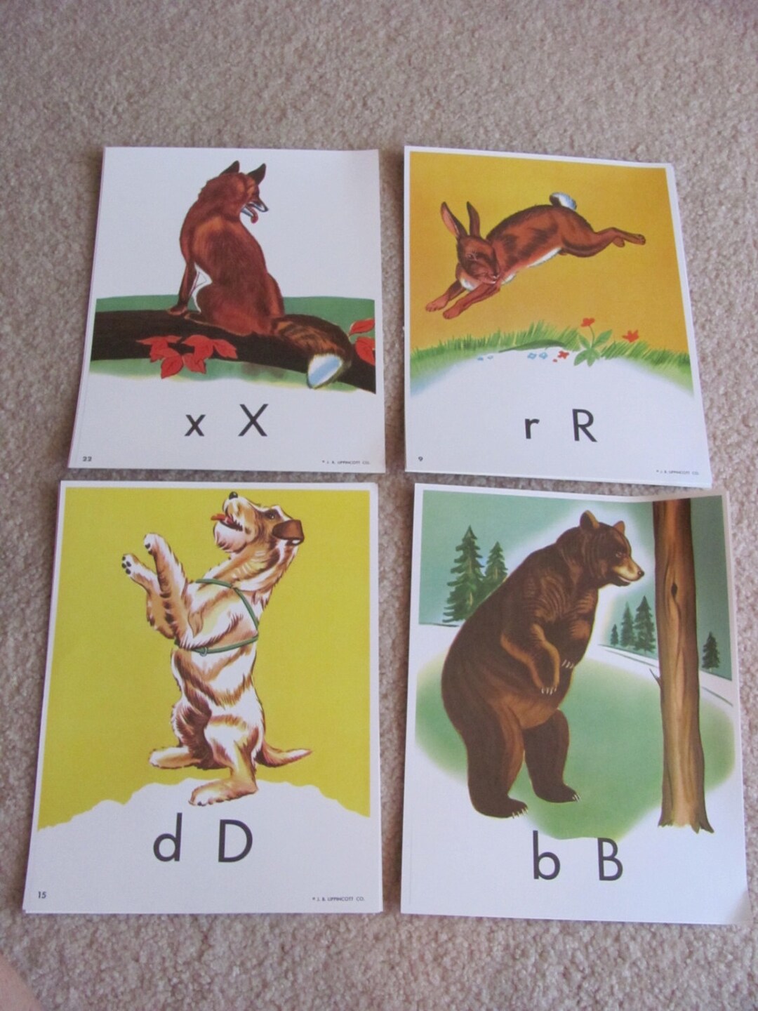 Large Colorful School Flash Card Poster Print Reproduction Circa 1950s ...