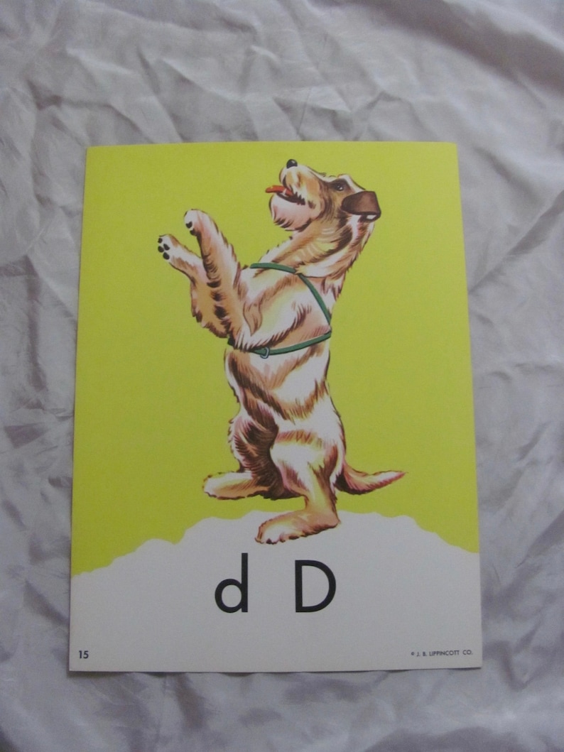 Dog Flash Card Vintage Large Colorful School Alphabet Phonics ...