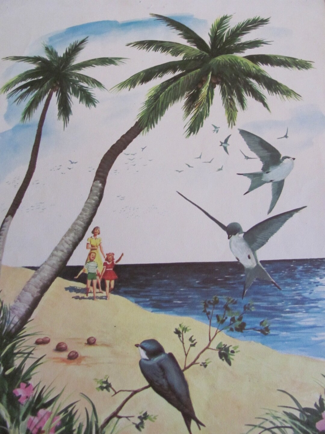 Original Vintage School Classroom Poster Print - Circa 1965 - Seasons ...
