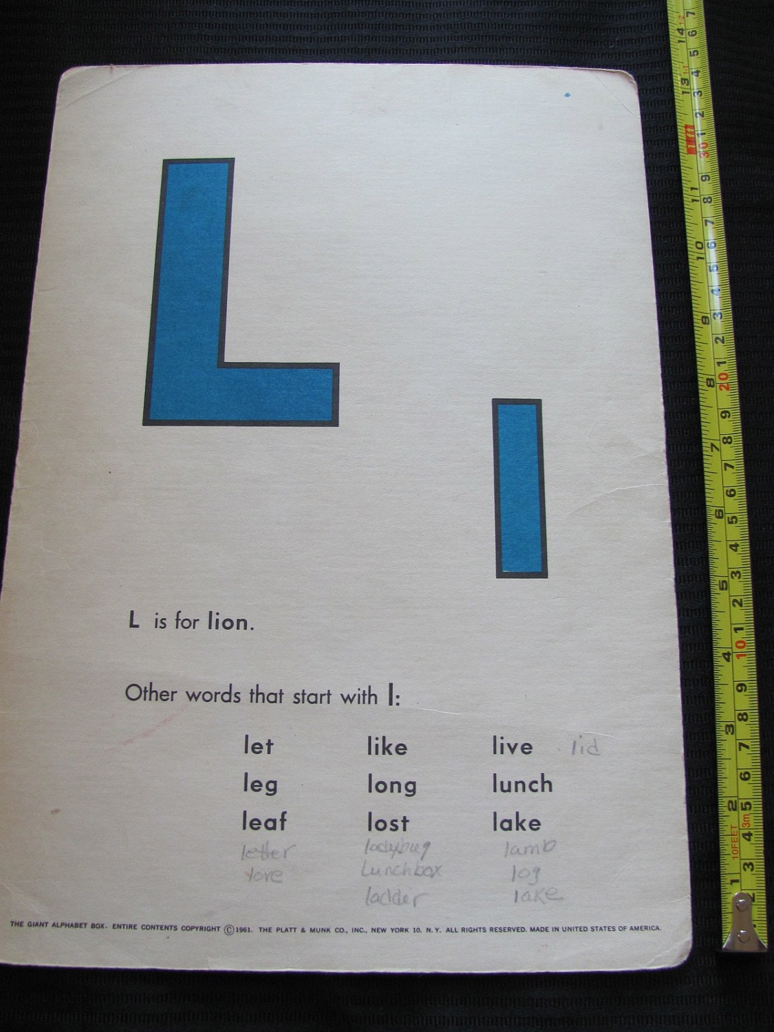 Large Illustrated School Flash Card Poster - Alphabet Letter - L Lion ...