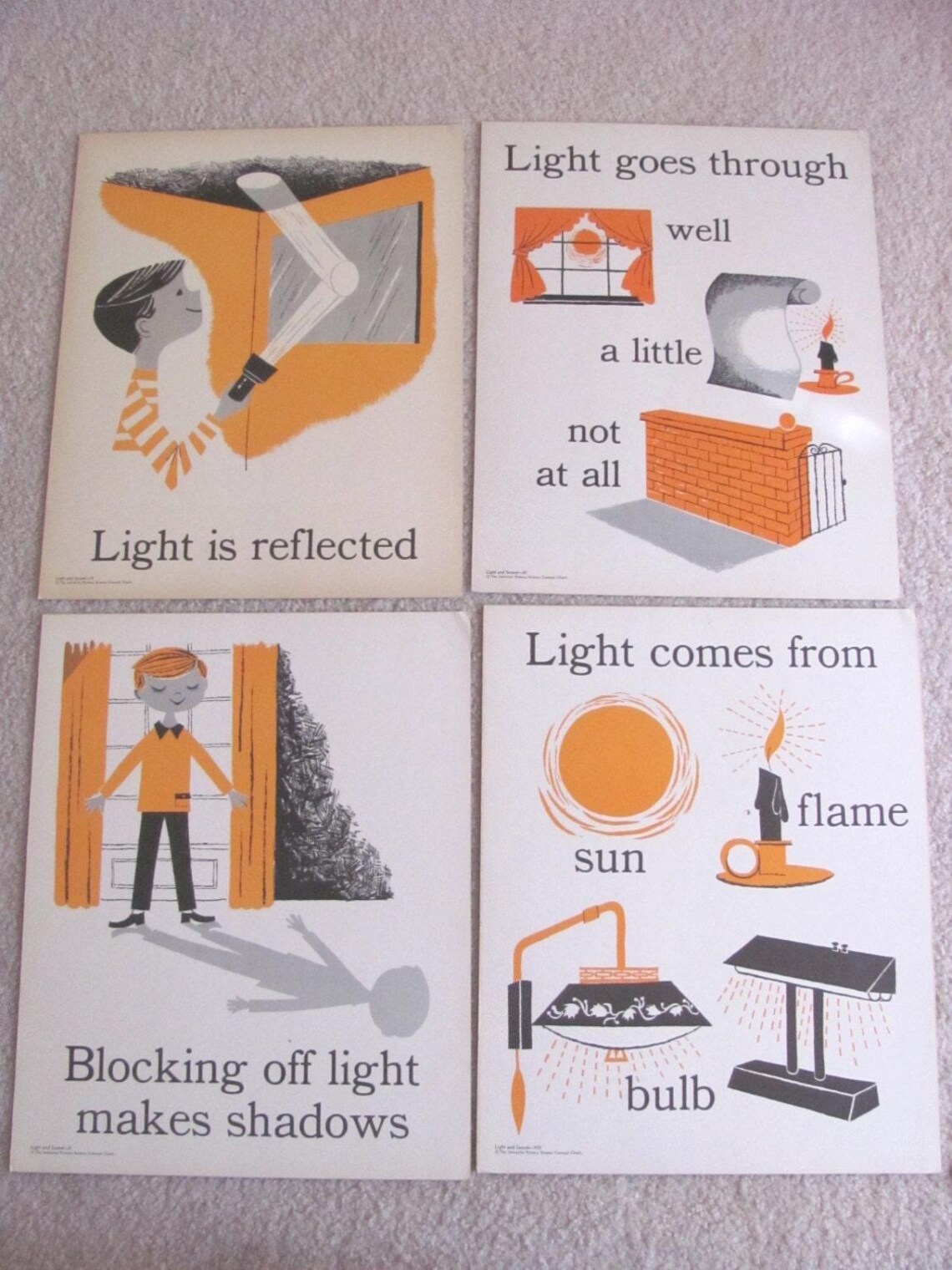 Vintage Illustrated Large Flash Card Science Poster -- 11" X 14" Your ...